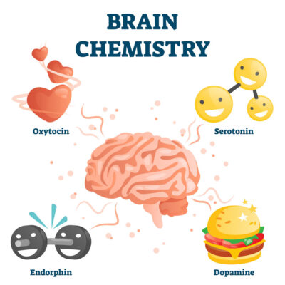 Oxytocin known as the “Love Hormone” | Mens Clinic International